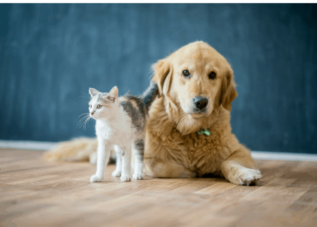 Pets & Pests: How North Carolina Families Can Protect Their Animals ...