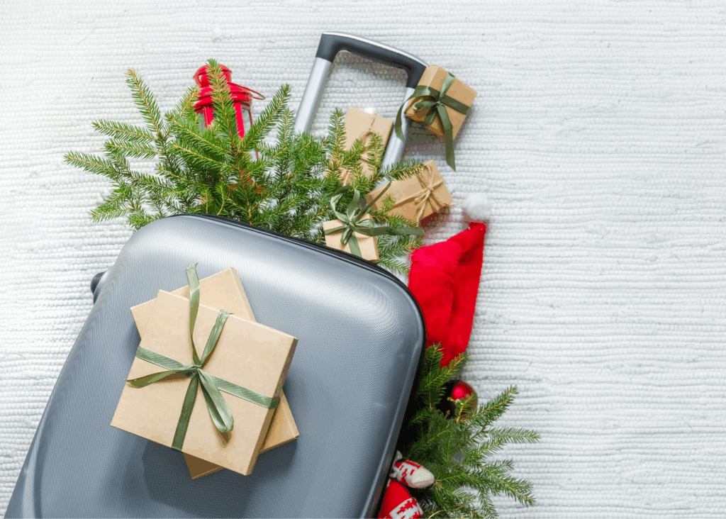Holiday Travel Pest Tips: How to Stay Pest-Free Before, During, and ...
